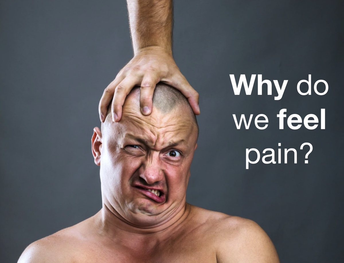 PhysioCentral’s Essential Health and Wellness Resources. | PhysioCentral